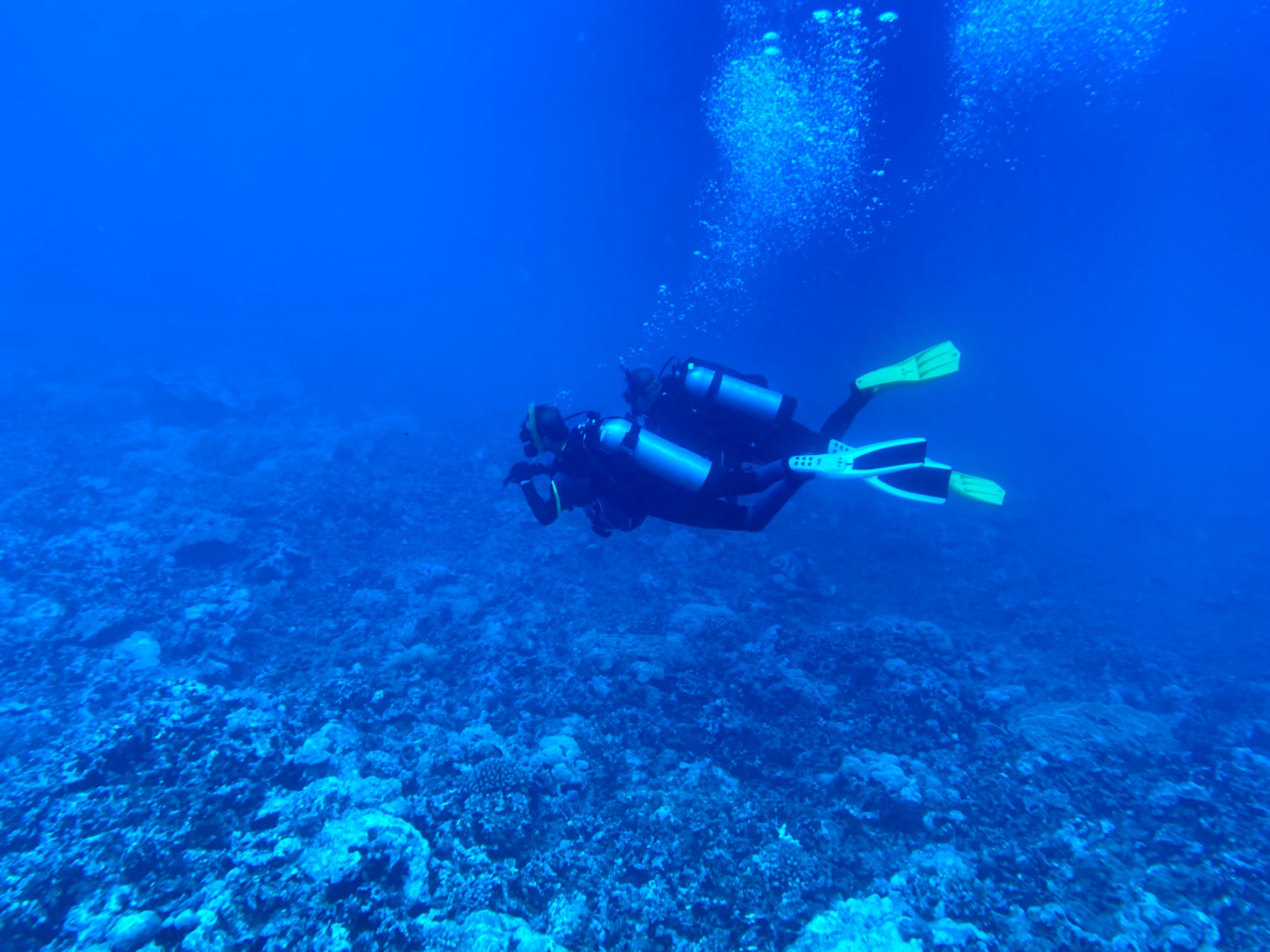 Advanced Open Water Diver Course | Scuba Certification: Hilo, HI